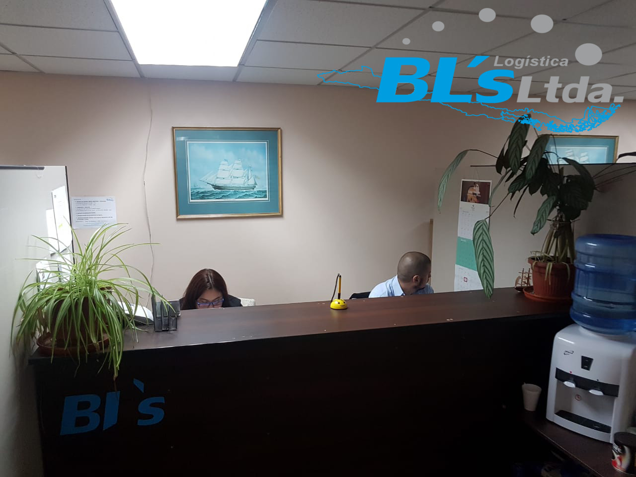 Contacto – Logística BLS